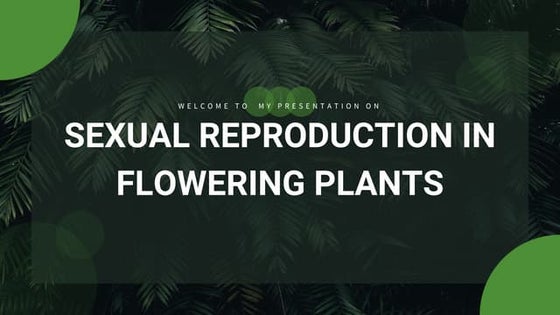 Fertilisation in plants | PPTX | Infertility | Reproductive Health