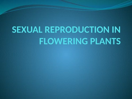 Fertilisation in plants | PPTX | Infertility | Reproductive Health