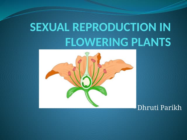 Sexual Reproduction In Flowering Plants | PPTX