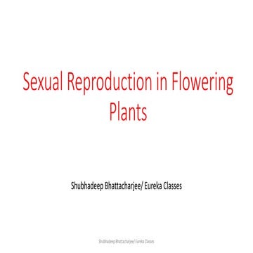 Sexual Reproduction In Flowering Plants Ppt