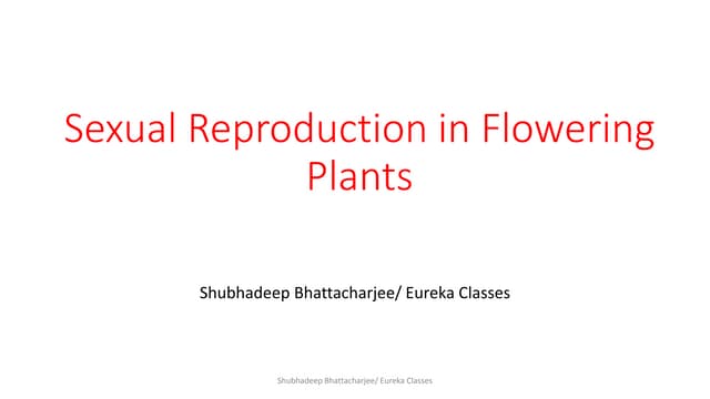 Sexual Reproduction In Flowering Plants Ppt