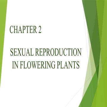 Class 12||Chapter 2|| Sexual Reproduction in flowering plants | PPTX