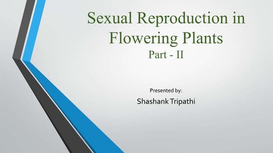 Sexual Reproduction in Flowering Plants-1.pptx