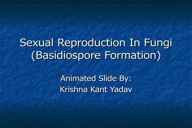 Basidiospore Slide