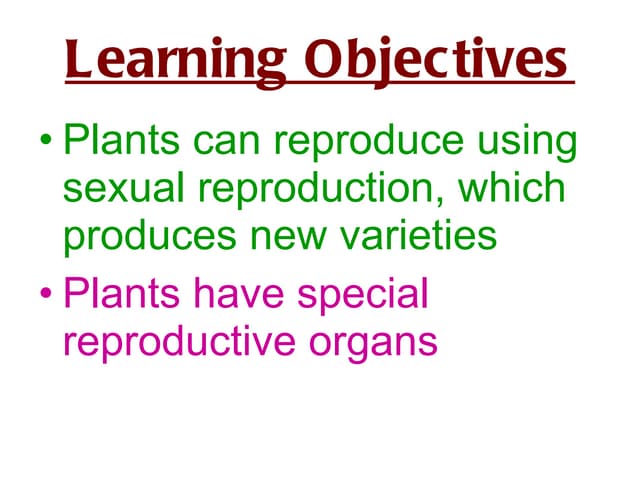 Asexual Reproduction In Plants Pptx