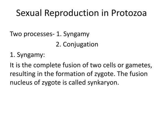 Reproduction in protozoa | PPTX