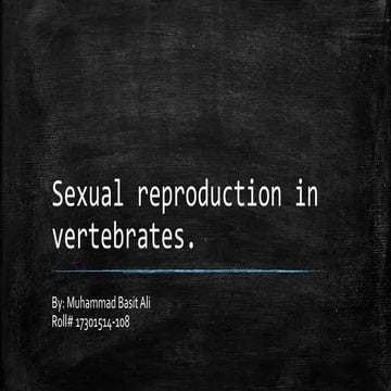 Reproductive Ecology Insects