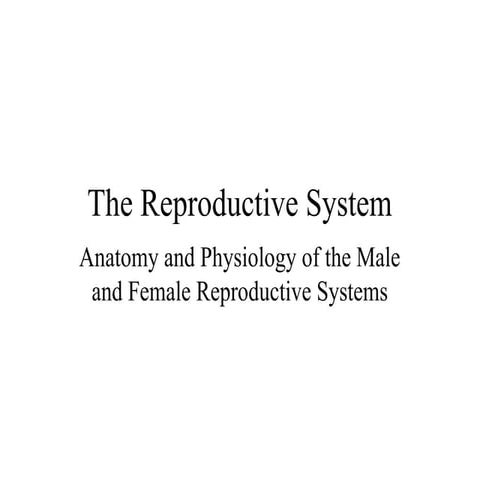 Sexual Reproductive System.pptx......... | PPTX