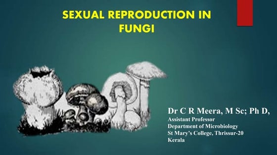 Reproduction in fungi | PPT