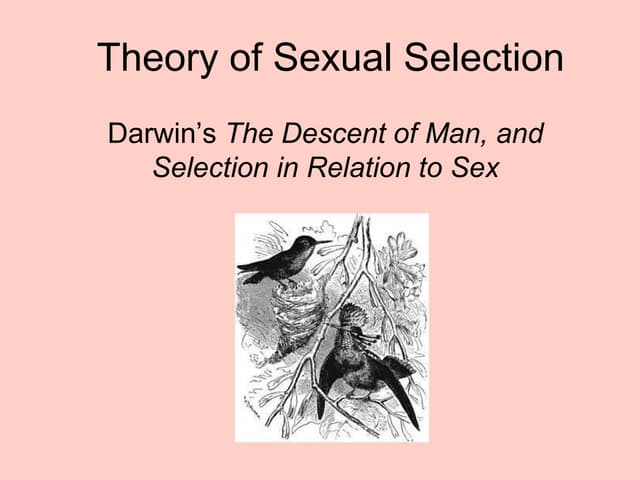 Animal Behaviour – SEXUAL SELECTION IN ANIMALS | PPTX