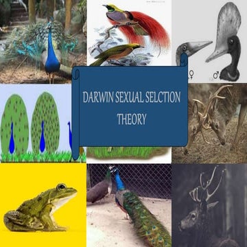 Sexual selection theory | PPTX
