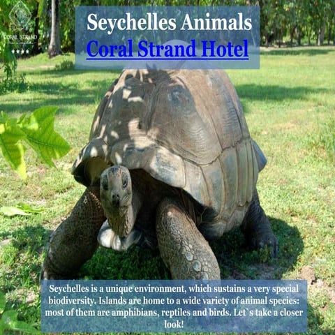 Seychelles Animals - Coral Strand Hotel | PPT