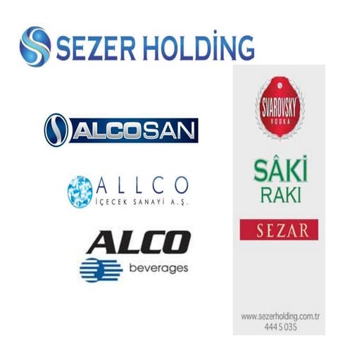 Sezer holding | PPSX