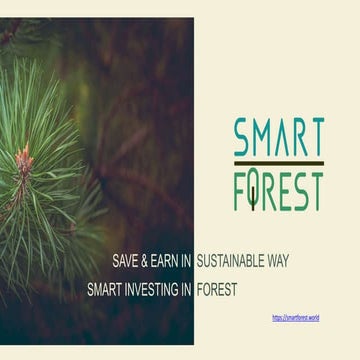 Smart Forest pitch/invest deck 19.11.2020