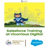 Salesforce Training Institute in Pune | SFDC Institute & Courses PCMC | PDF