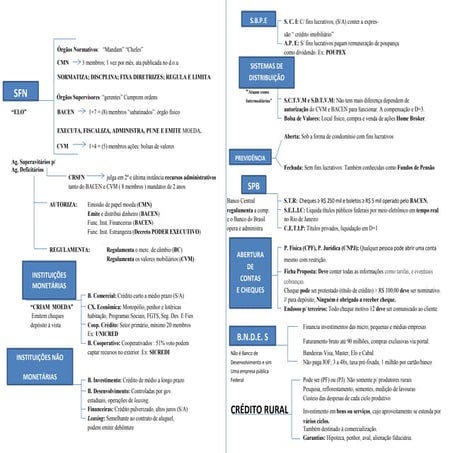Resumo do SFN versão digitada.pdf