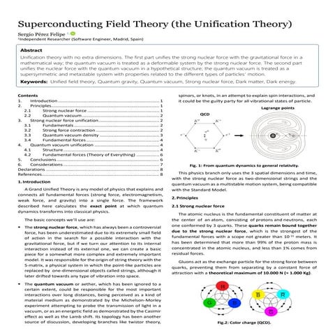 SFT_preprint-EN_2_col.pdf
