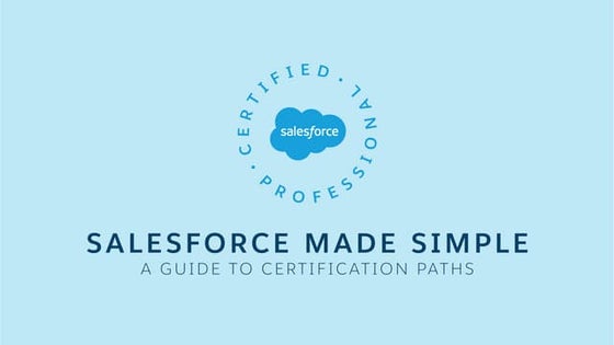 Choosing the Right Demo Environment (Salesforce Partners) | PDF