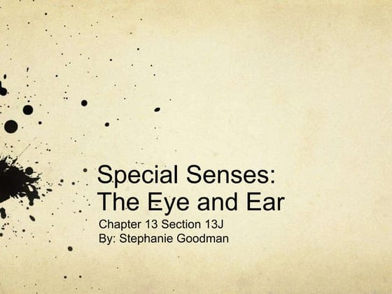 Presentation 13 | PPT