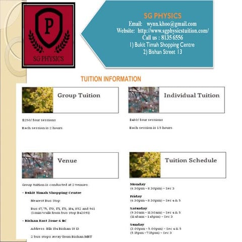 Physics Tuition Singapore | PDF