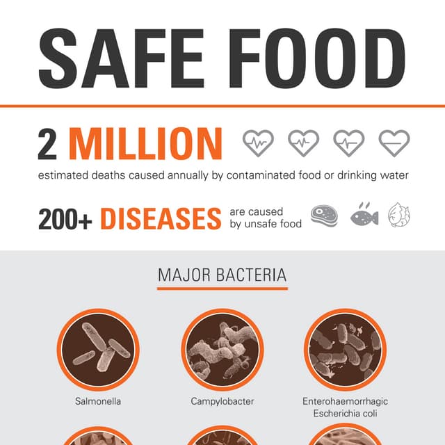 Safe Food | PDF
