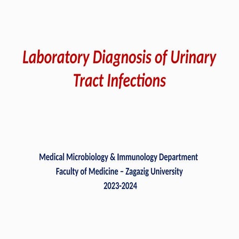 SGS 2022-2023 kidney and Urinary System module.pptx