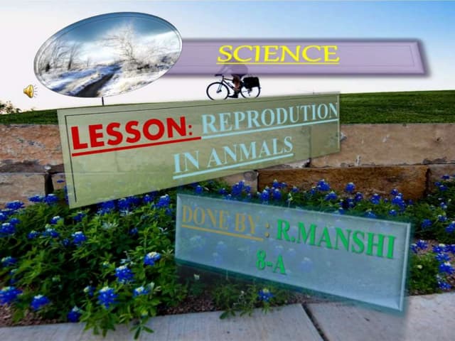 ANIMAL REPRODUCTION grade 5--------.pptx