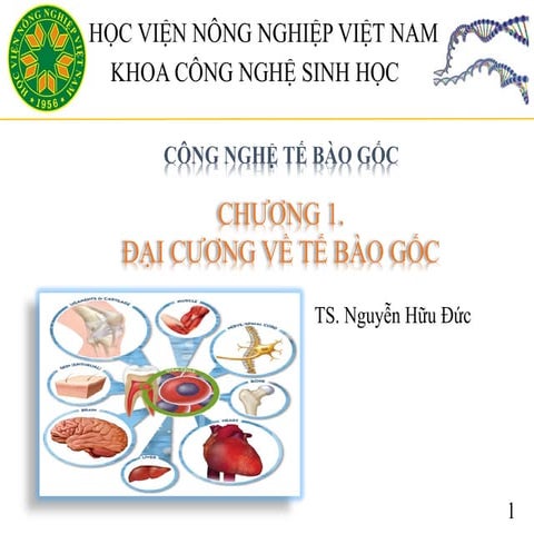 sh03050-cong-nghe-te-bao-goc.bfbbfxbxbxbpdf | PDF