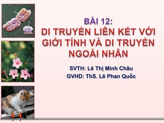 Di truyền học quần thể - Vietzo.net