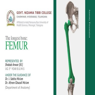 The Longest bone: FEMUR PPT. by SHABAB ANWAR | PDF
