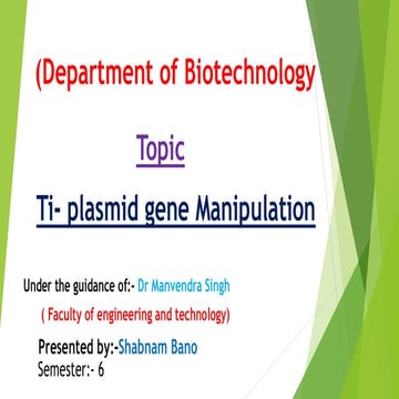 Ti plasmic gene manipulation by bacterial artificial chromosome | PPT