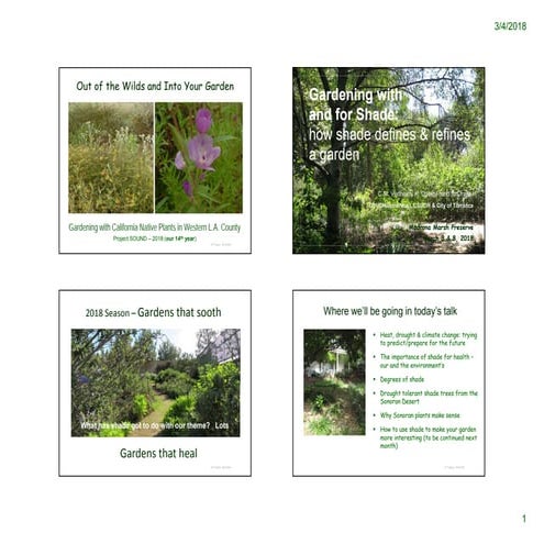 Shade 2018-notes | PDF