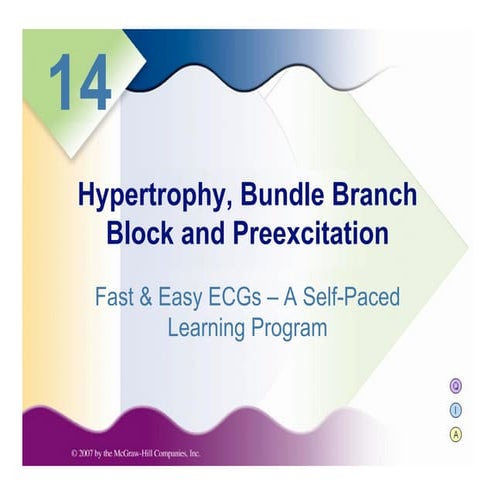 Shadechapter14.ppt [read only] | PDF