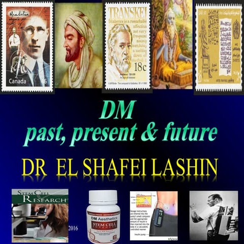 Shafei dm | PPT