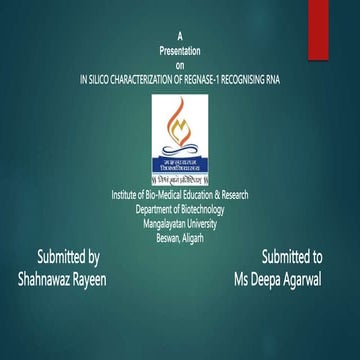 Shah Presentation1[1811].pptx