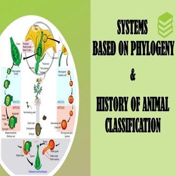 SYSYEMS OF PHYLOGENY AND CLASSIFICATIONS | PPT