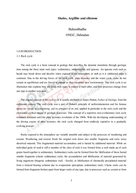 Cuttings descriptions-clastic | PDF