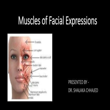 Muscles of Facial expressions | PPTX