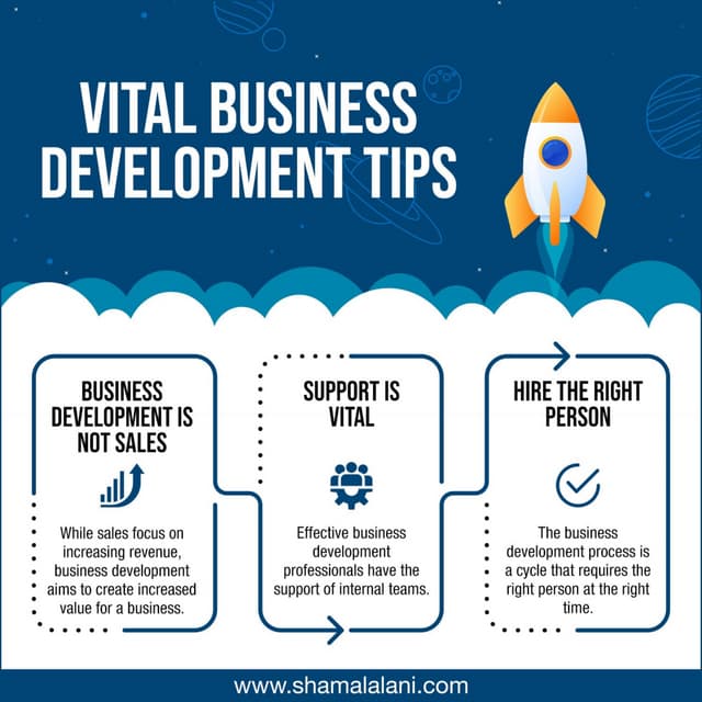 Vital Business Development Tips | PDF