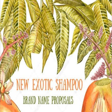 Shampoo Branding | PDF