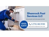 Shamrock Pest Services presentations