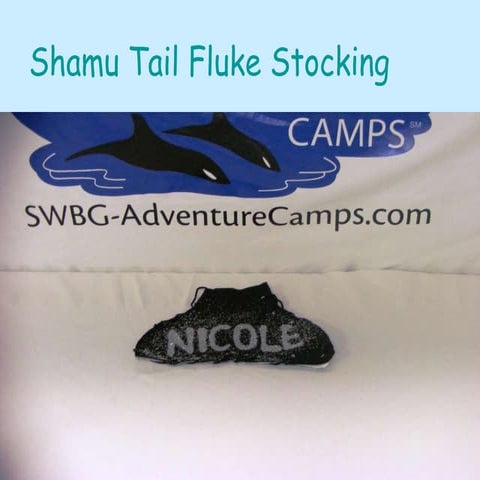 Shamu tail fluke stocking | PPT