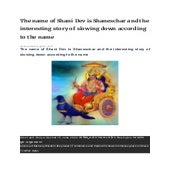 ShaniDev Story.pdf