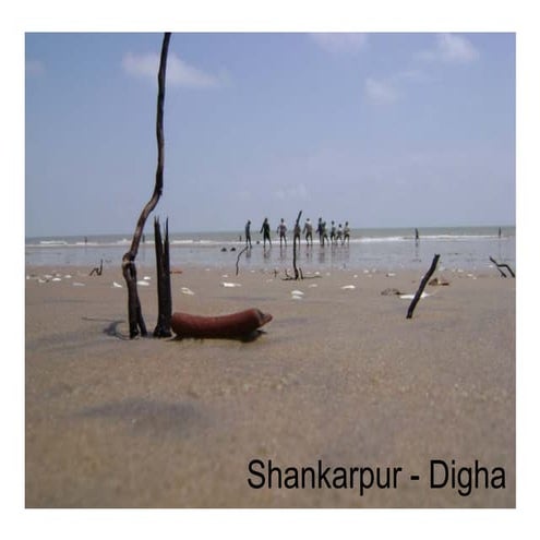Shankarpur, Digha | PDF