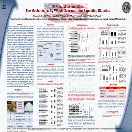 American Society Of Hematology Conference Poster 120608 | PDF