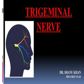 trigeminal nerve and their disease222ptx | PPT
