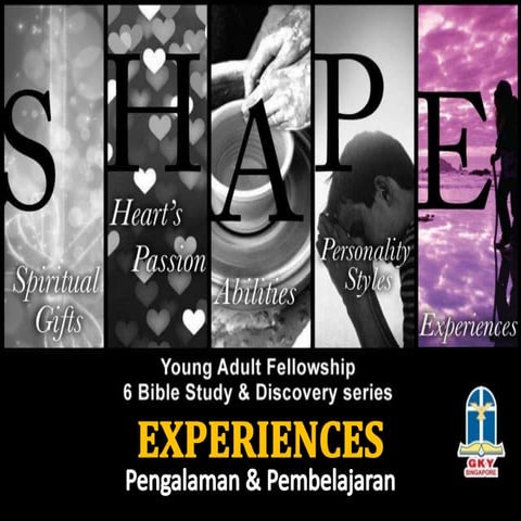 SHAPE Experiences | PPT