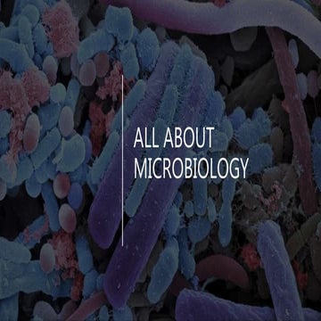 Classification of Bacteria | PPTX