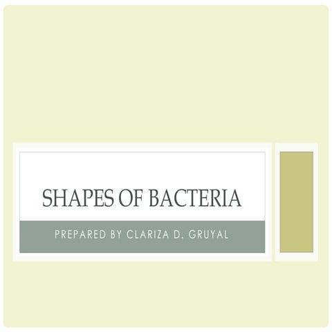 Shapes of bacteria | PPTX