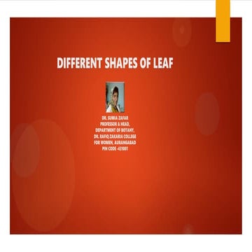 Different Shapes of leaf | PDF